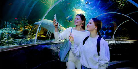 Waarom je oude iPhone meer waard is dan een nieuwe Android - Swappie